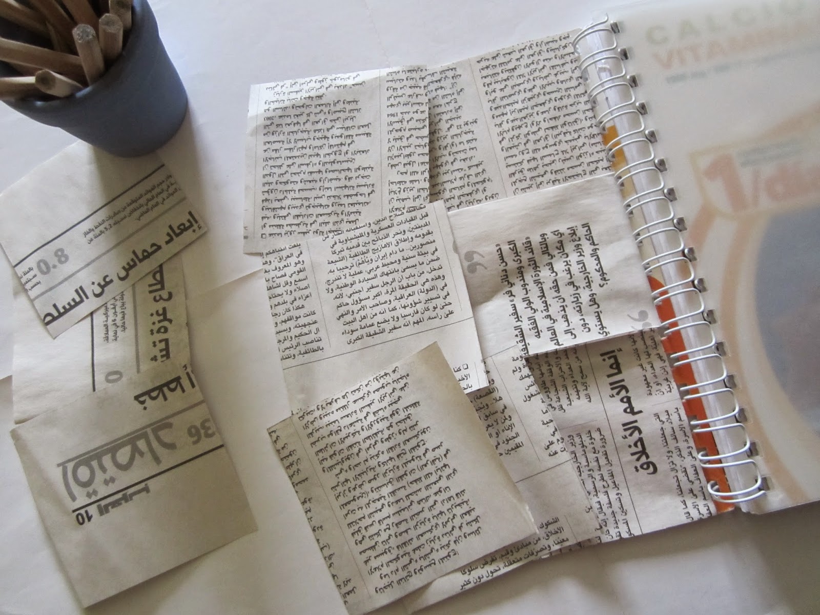 Ladyhera: DIY libreta