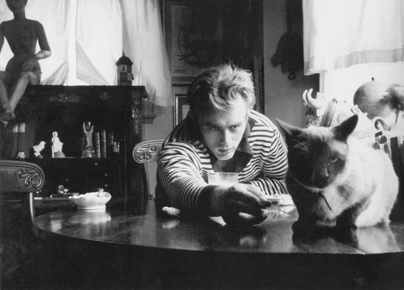 JAMES DEAN: SU GATO SIAMÉS CAT MARCUS & CAT LOUIS ROTH