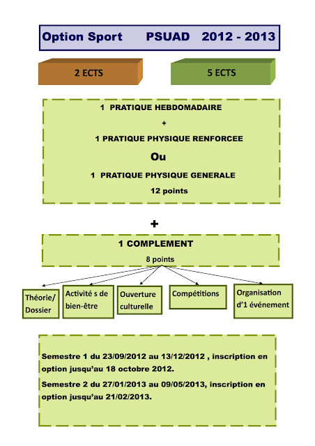 Droit et Science Politique - 2ème Année: Sports Point System