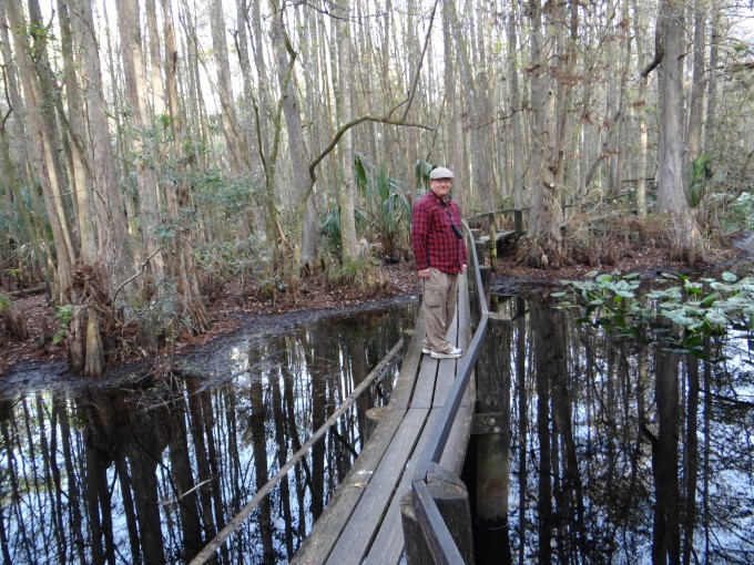 Walkabout With Wheels Blog: The Cypress Swamp Loop Trail at Highlands ...