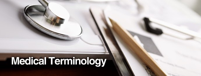 Basic German Medical Terminology Part 2 « L E A R N G E R M A N