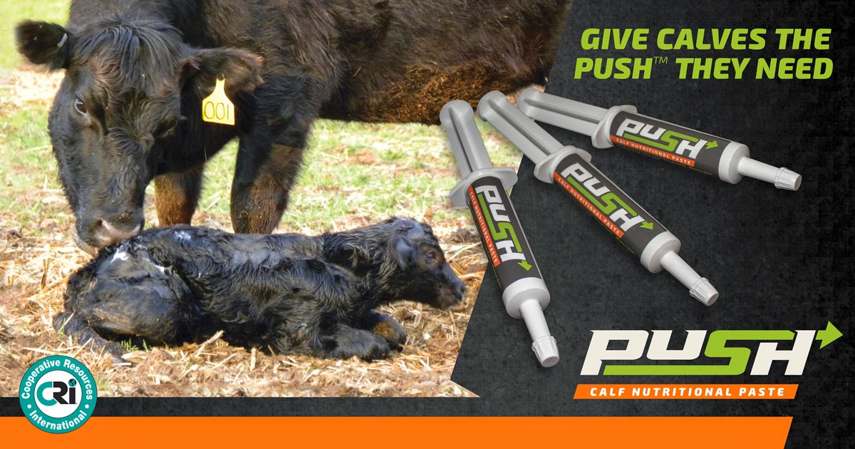 The GENEX Blog: It took a “Push,” but I’m sold!