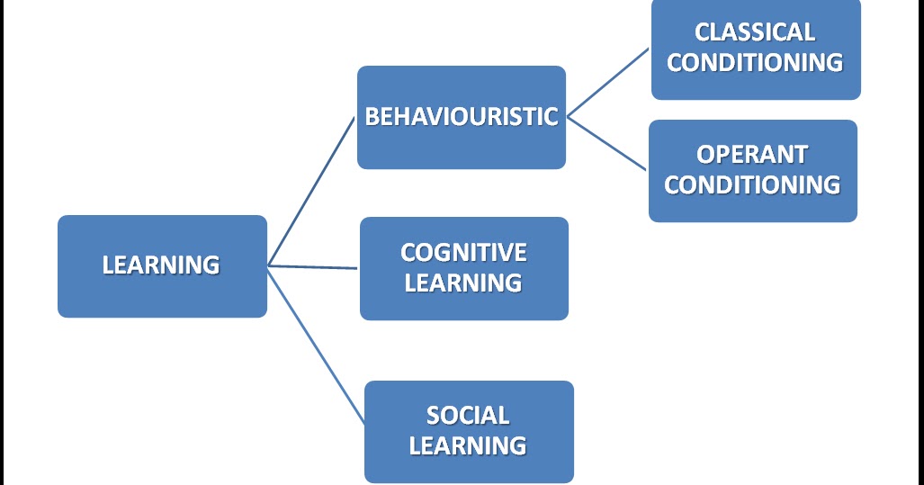 Learning Theories - III | PICT Model School and Daycare, Pune