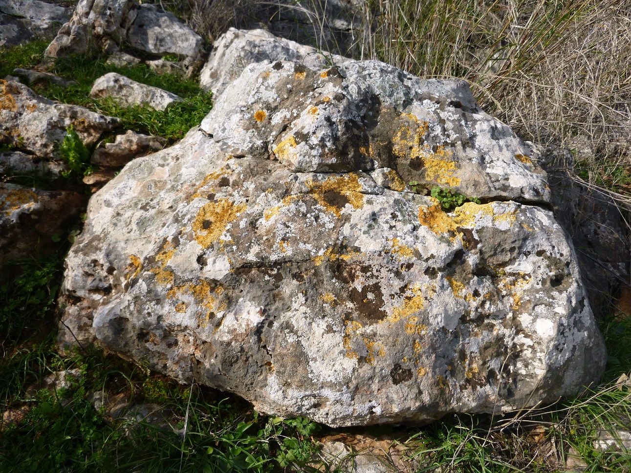 Γιώργος Πρίμπας (Στιγμές): Σ' αιώνια πέτρα [Δέσποινα Κουμαραδιού]