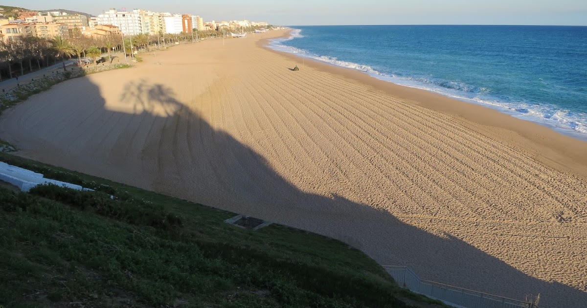 La Natura a la Baixa Tordera: Platja de Calella 11/1/2017