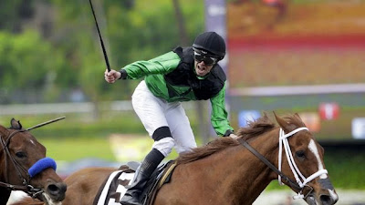 French Vocabulary Illustrated: cravache