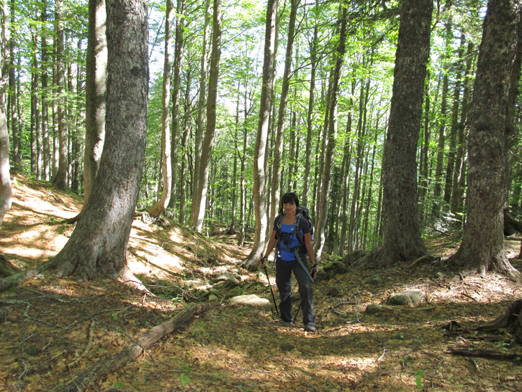 Escursionismo a 360°: Alpe Tre Potenze e Gomito (per il Lago del Greppo) EE