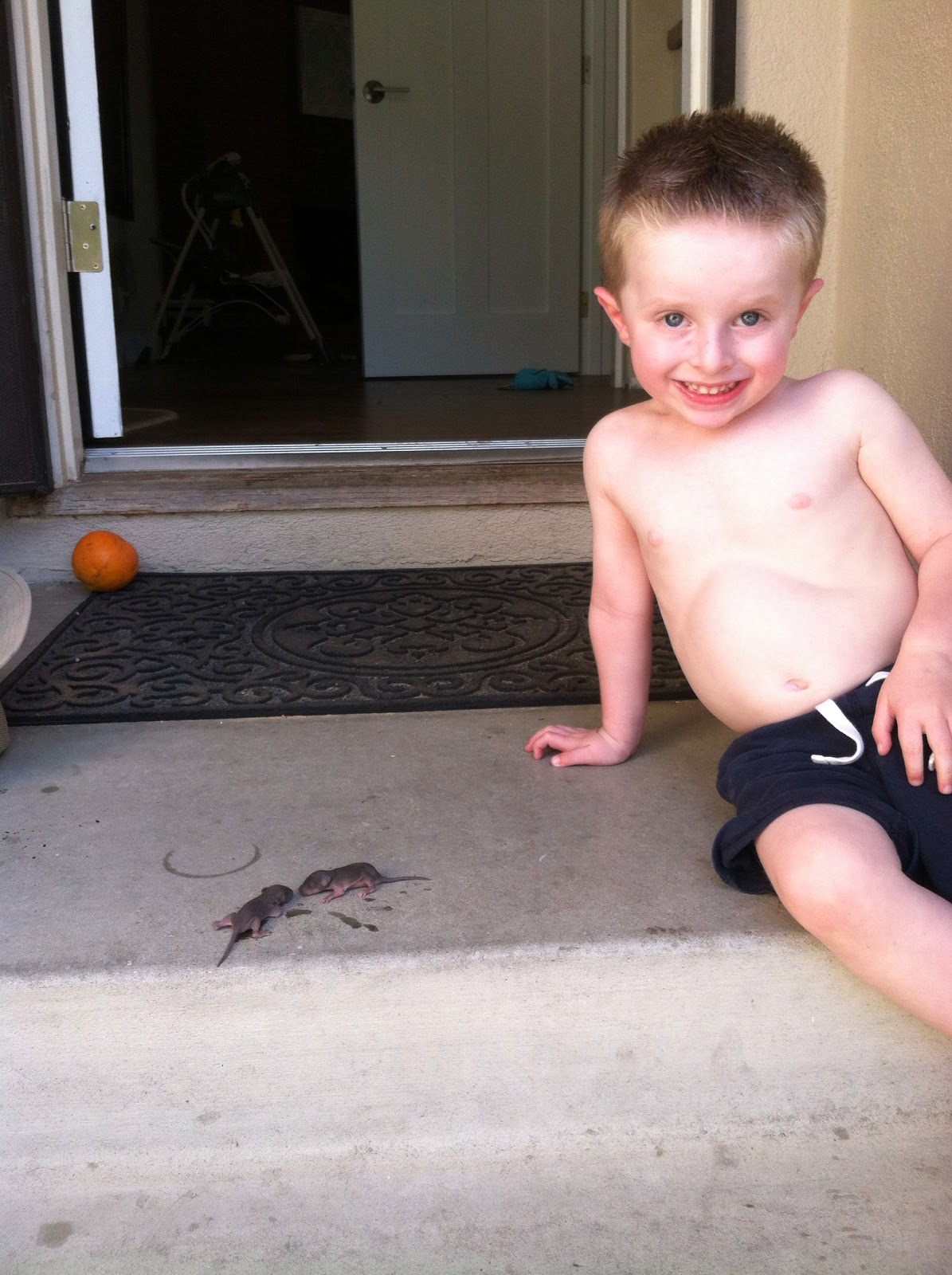 Dear Person Reading This,: June 2014