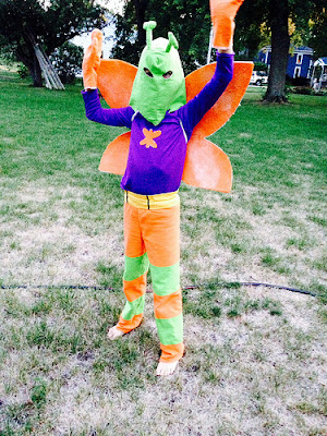 Killer Moth Appreciation and Preservation Society: 2016