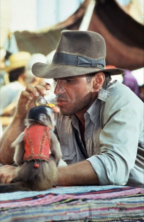Today's Picture - Indiana jones Enjoys a Whisky With A Monkey