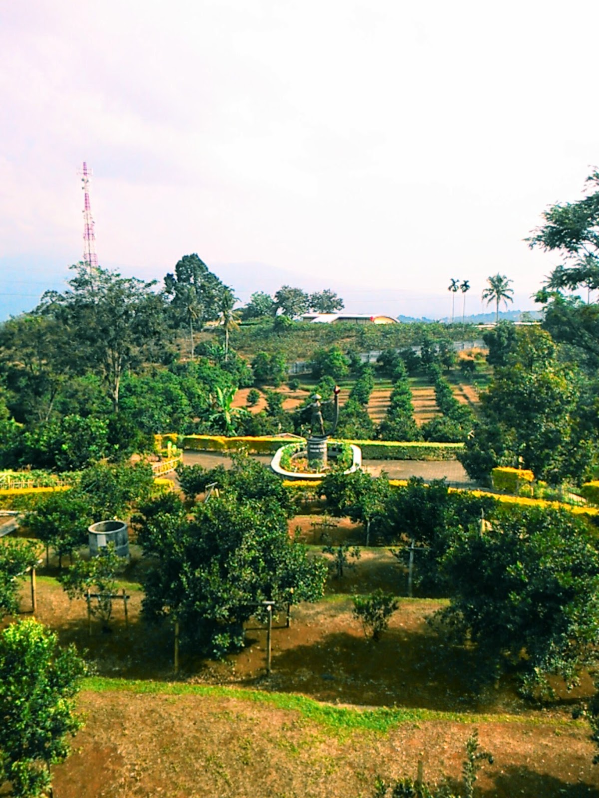 Wisata Agro di Hortimart Agro Center Bawen Kab. Semarang