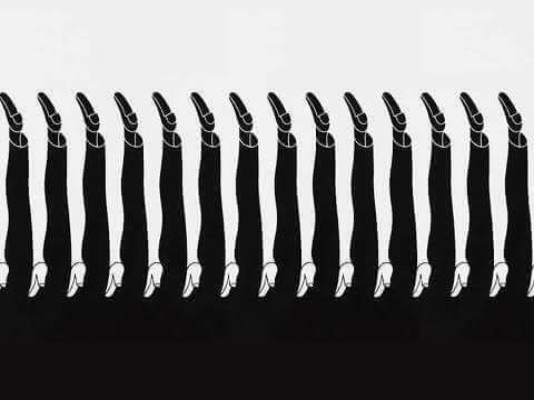 Legs Counting Picture Puzzle