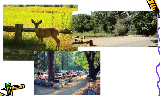 Parsons Preserve: Preliminary Design Commentary #1