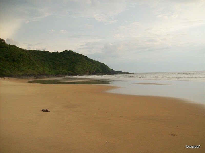 Travel Adventures: Nagabana- the Garden of Serpents
