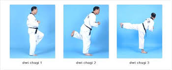 Chute back kick ou DWI CHAGI - Aprenda taekwondo