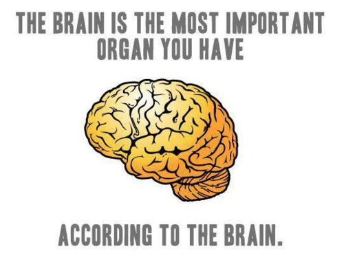 Random list of stuff from around the world...: Brain Jokes