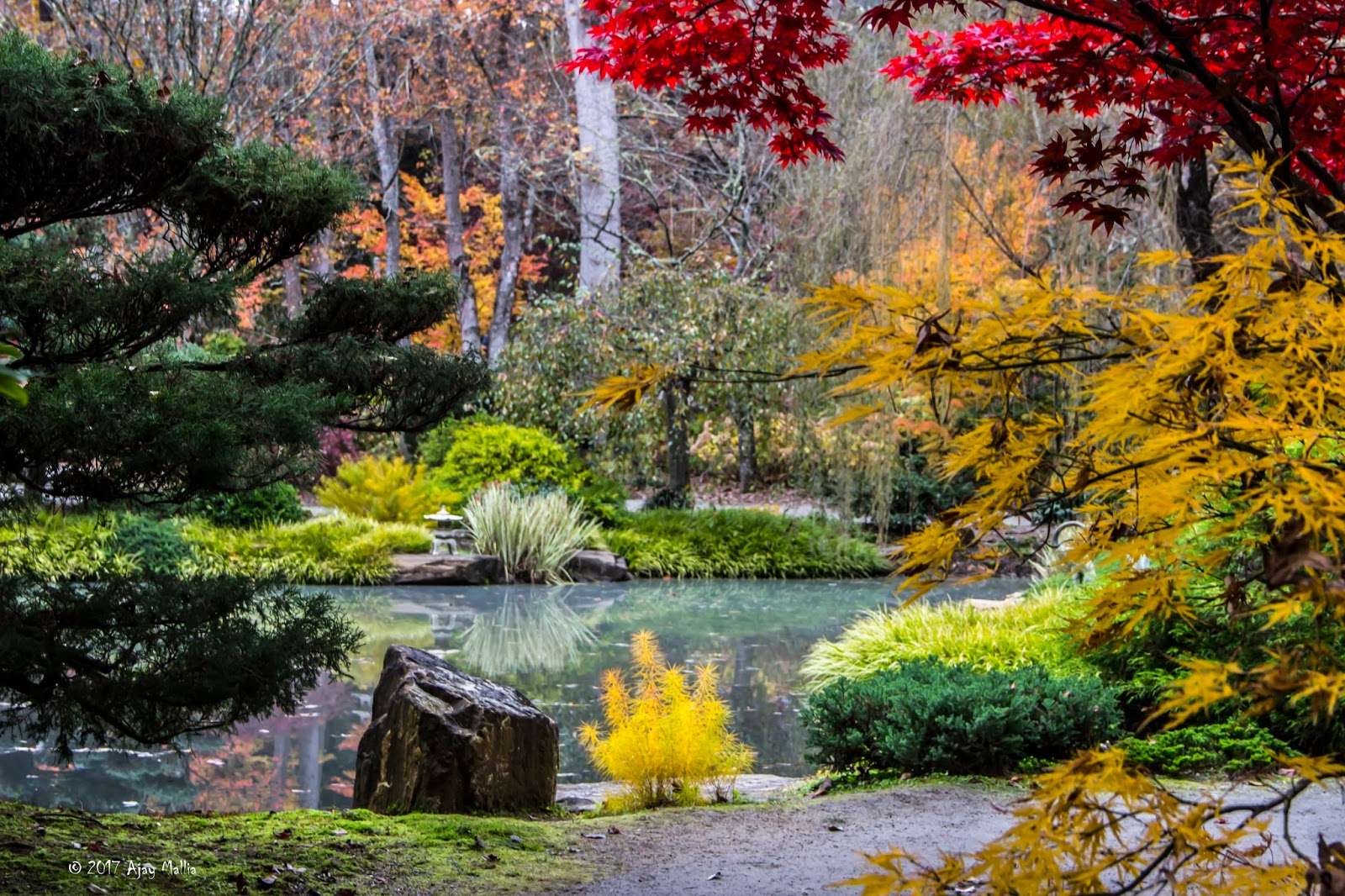 Ajay Mallia Photography: Gibbs Garden-Fall Color