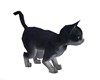 Gatos ~ IMVU Pet's And Sims News