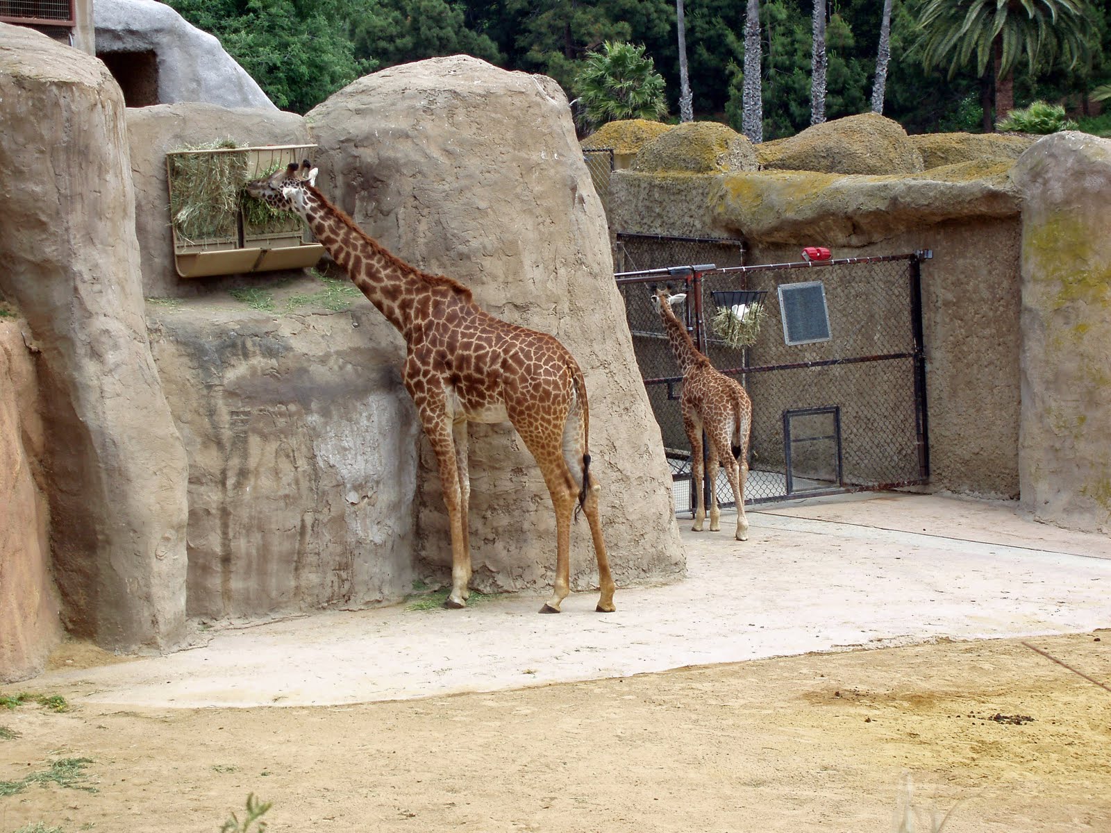 Santa Barbara Sights and Events: Santa Barbara Zoo