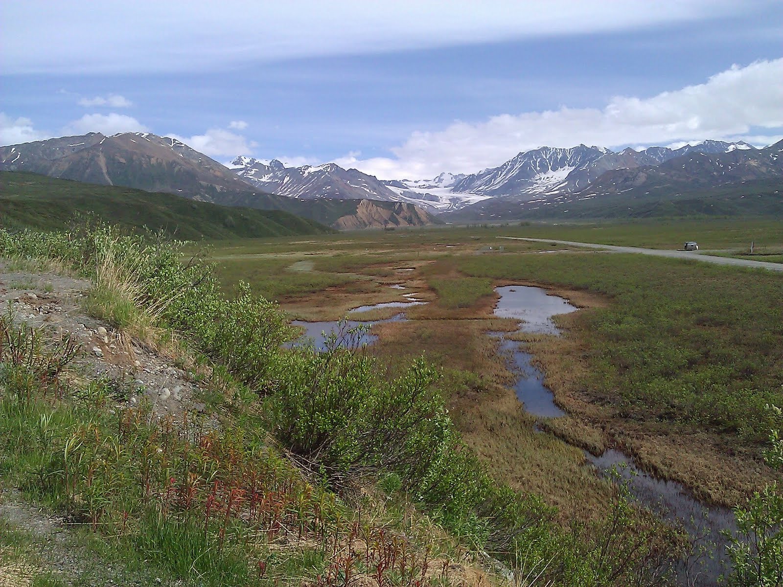 WWOOFing In Delta Junction, AK