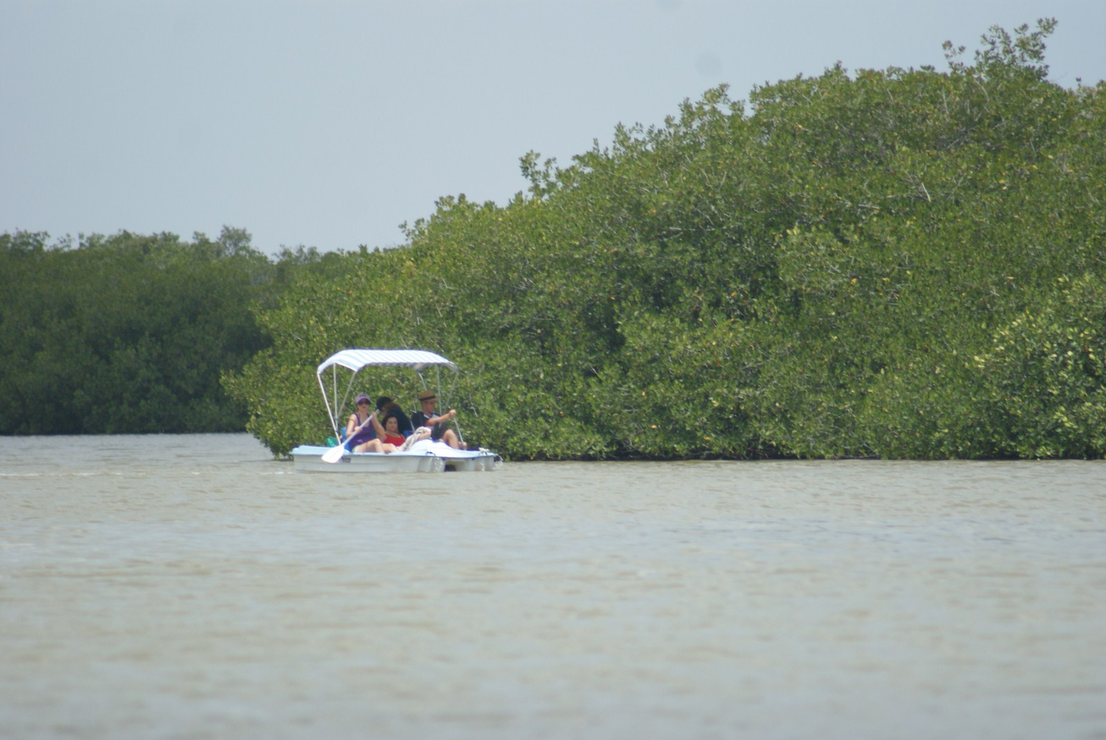 Noticias Progreso: La Ría de Progreso Yucatán, una aventura ...