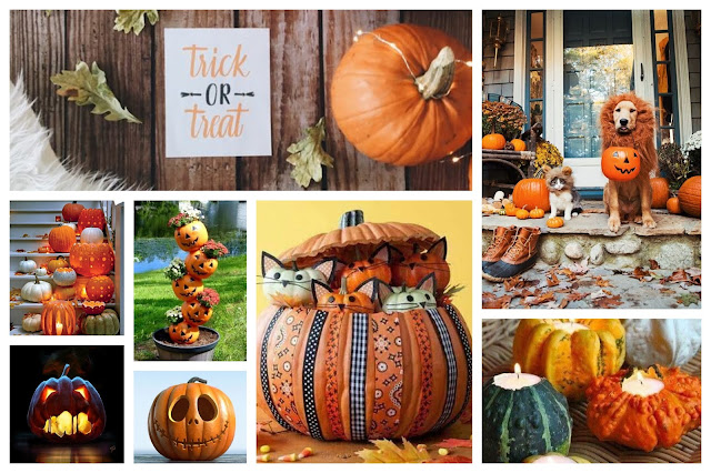 Tajanstveni Svijet Biljaka