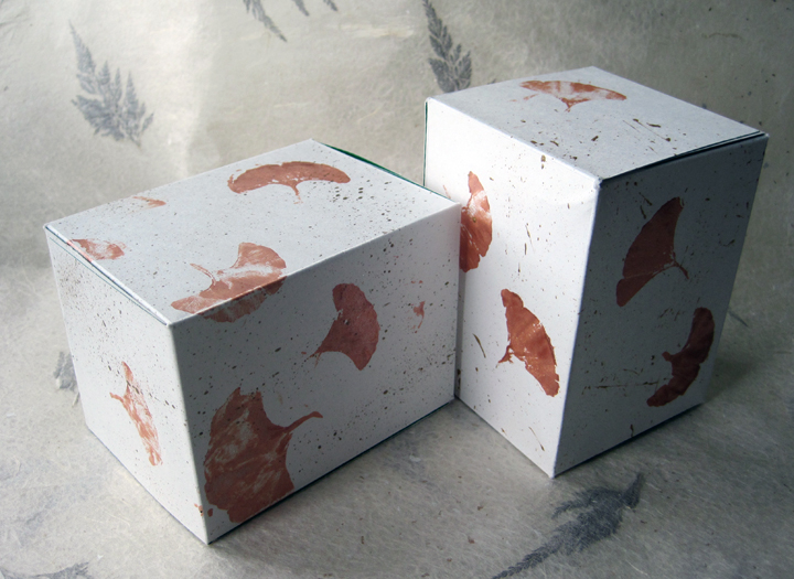 Stuff You Can't Have: Inside-Out Boxes