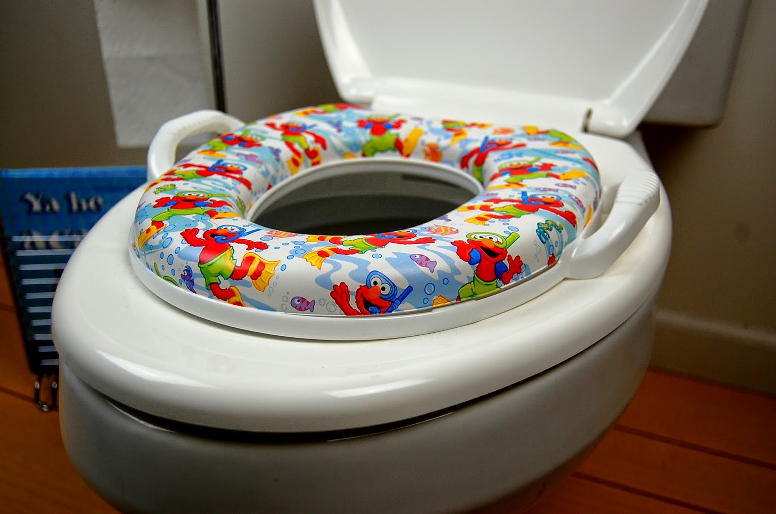 Diapers & Daisies: Potty Training: 101