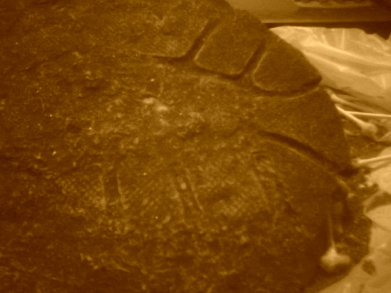 Jess Miller: footprint casting