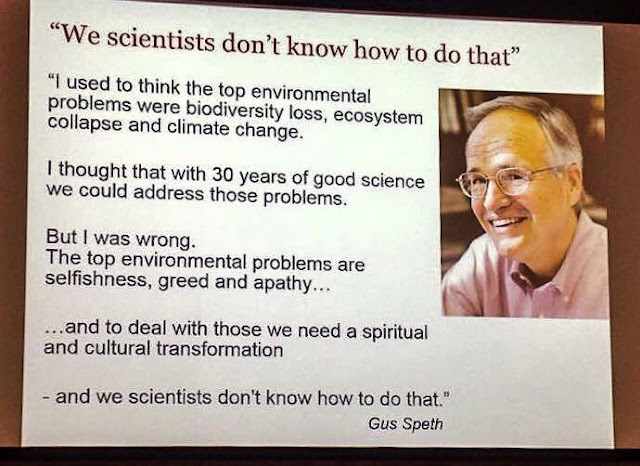 Основные проблемы окружающей среды – эгоизм, жадность и безразличие ...