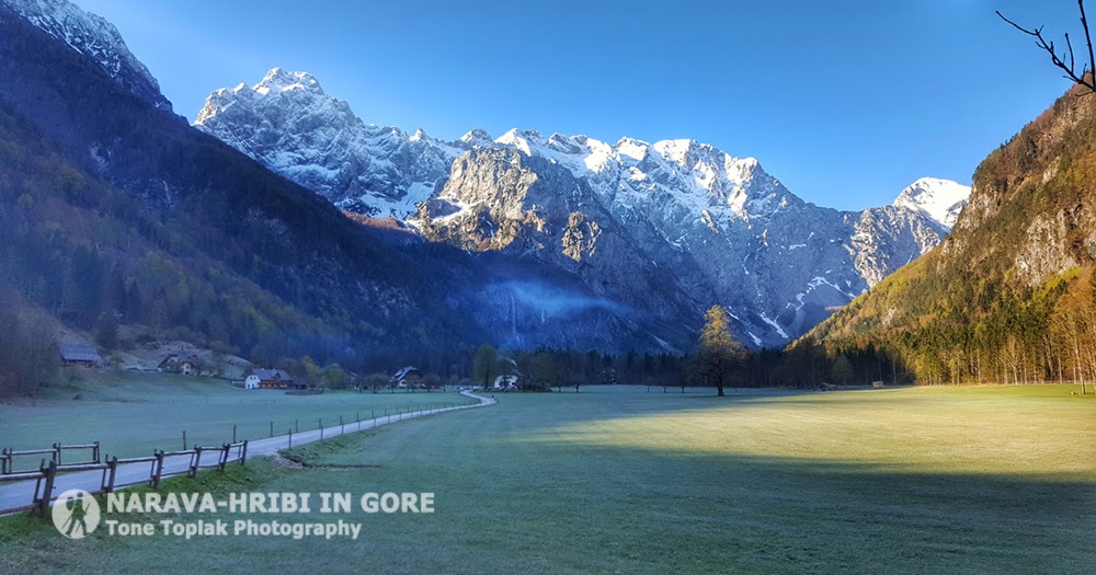 Narava hribi in gore: Plesnikova planina-Icmanikova planina-Strelovec