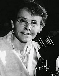 Mujeres en la historia: La Nobel de la genética, Barbara McClintock ...