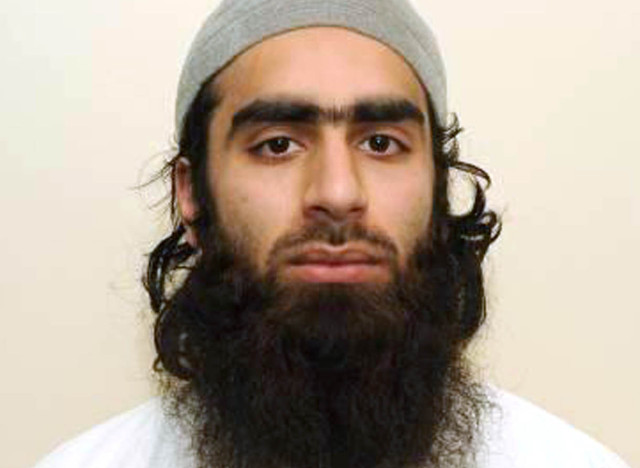 The Unibrow Bomber – Blazing Cat Fur