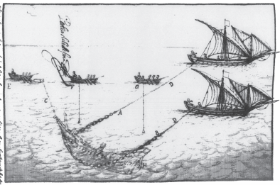 The Treasure Beaches Report Direct From Florida's Treasure Coast.: 9/16 ...