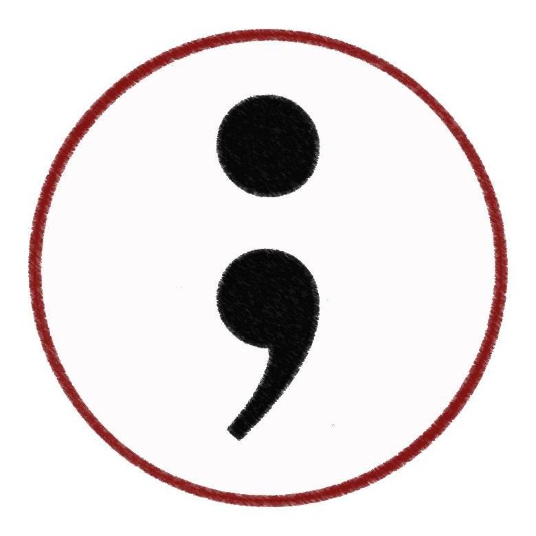 PEQUEÑOS ESCALADORES 6º: ORTOGRAFÍA: EL PUNTO Y COMA