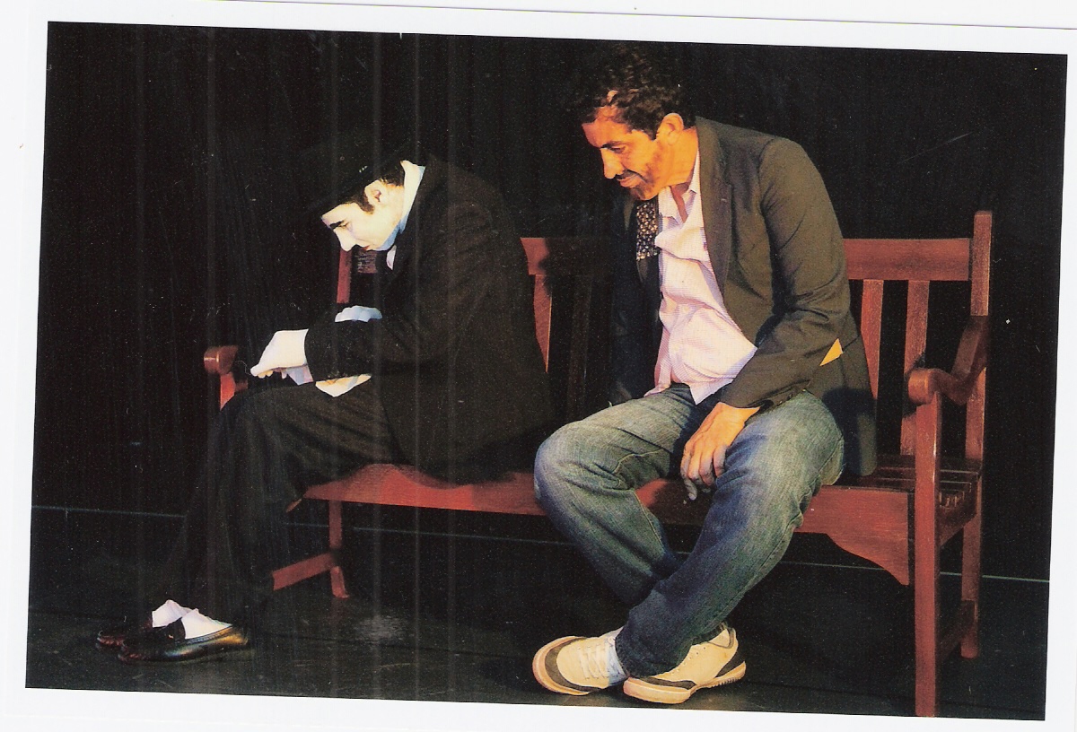 APAE de São João Batista - SC: ARTISTAS ESPECIAIS