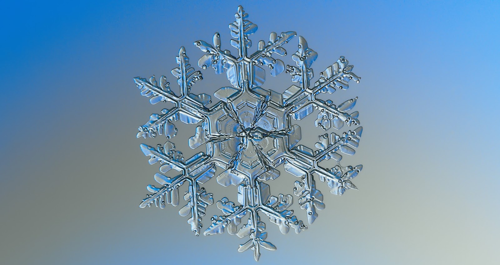 Sustainable Commons: A forum for ideas and actions: Snowflake Bentley's ...