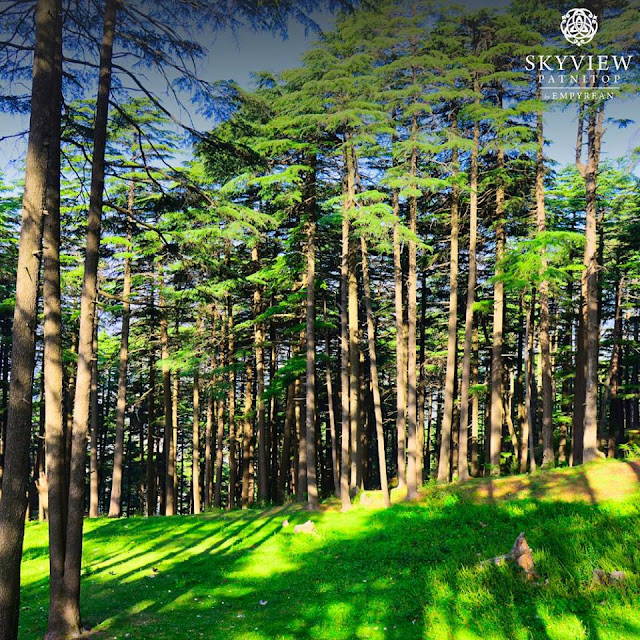 Empyrean Skyview: Adventure Tourism in Patnitop India for the Outdoor ...