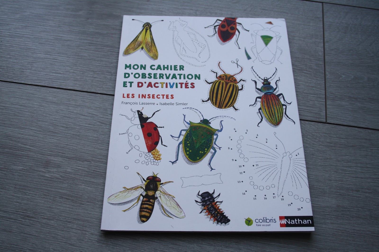 Mon cahier d'observation et d'activités : les insectes - MvWm - Ma vie ...