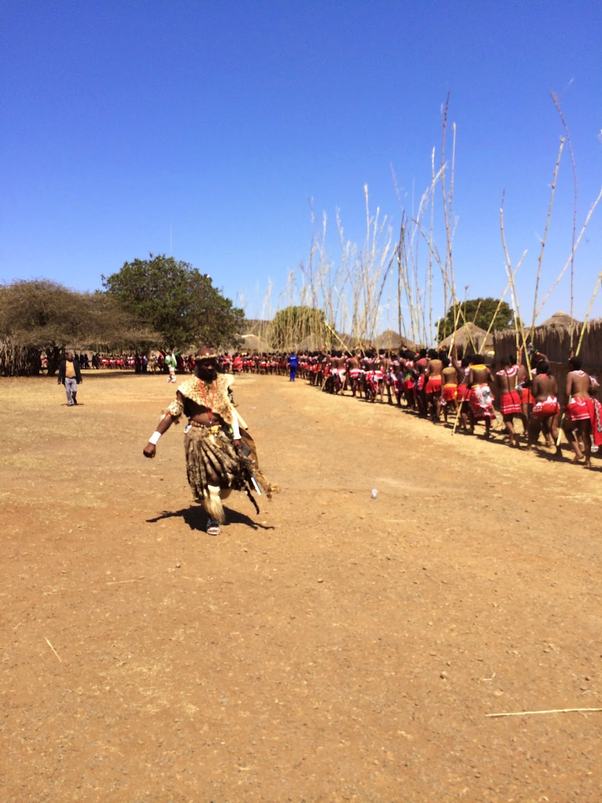 Cultural immersion - 30th Zulu Reed dance in pics - Afro-IP