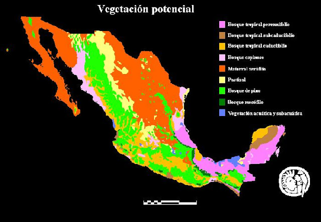Matorrales Xerófilos: Matorrales Xerófilos Mexicanos