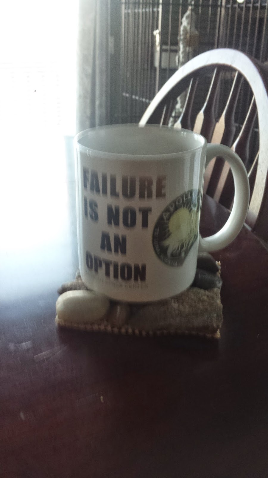 Learn and Discover : Tutorial 5: DIY Rock Coaster