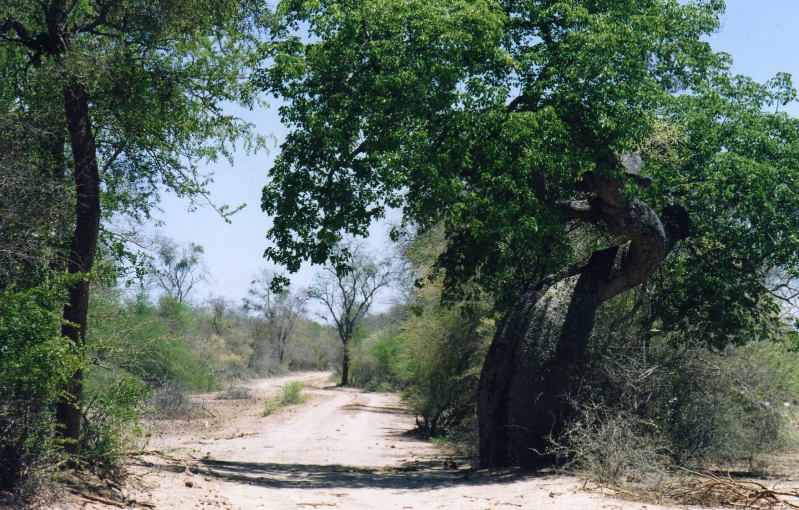 Algo más sobre Historia: La Guerra del Chaco I (1932/1935) - 1ra Parte ...