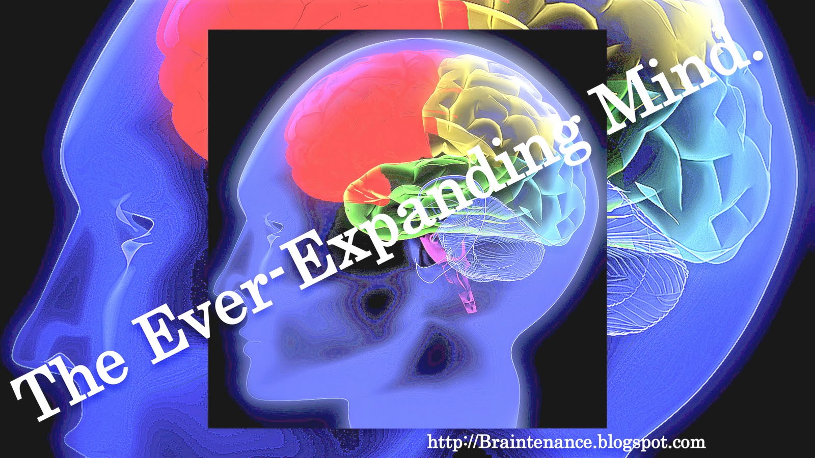 Extreme Thinking: Increase Imaginative Capacity | BRAINTENANCE: Train ...