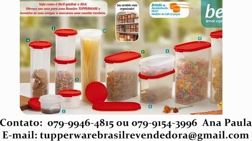 Tupperware: Kit's Bear
