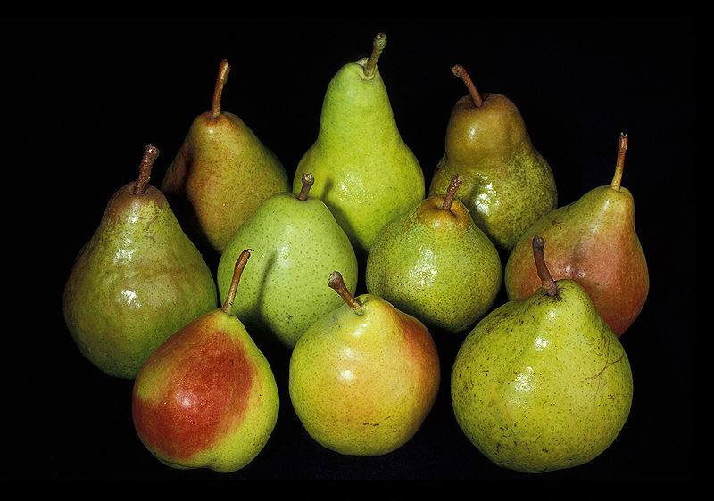 Khabarkini: Khasiat Buah Pear