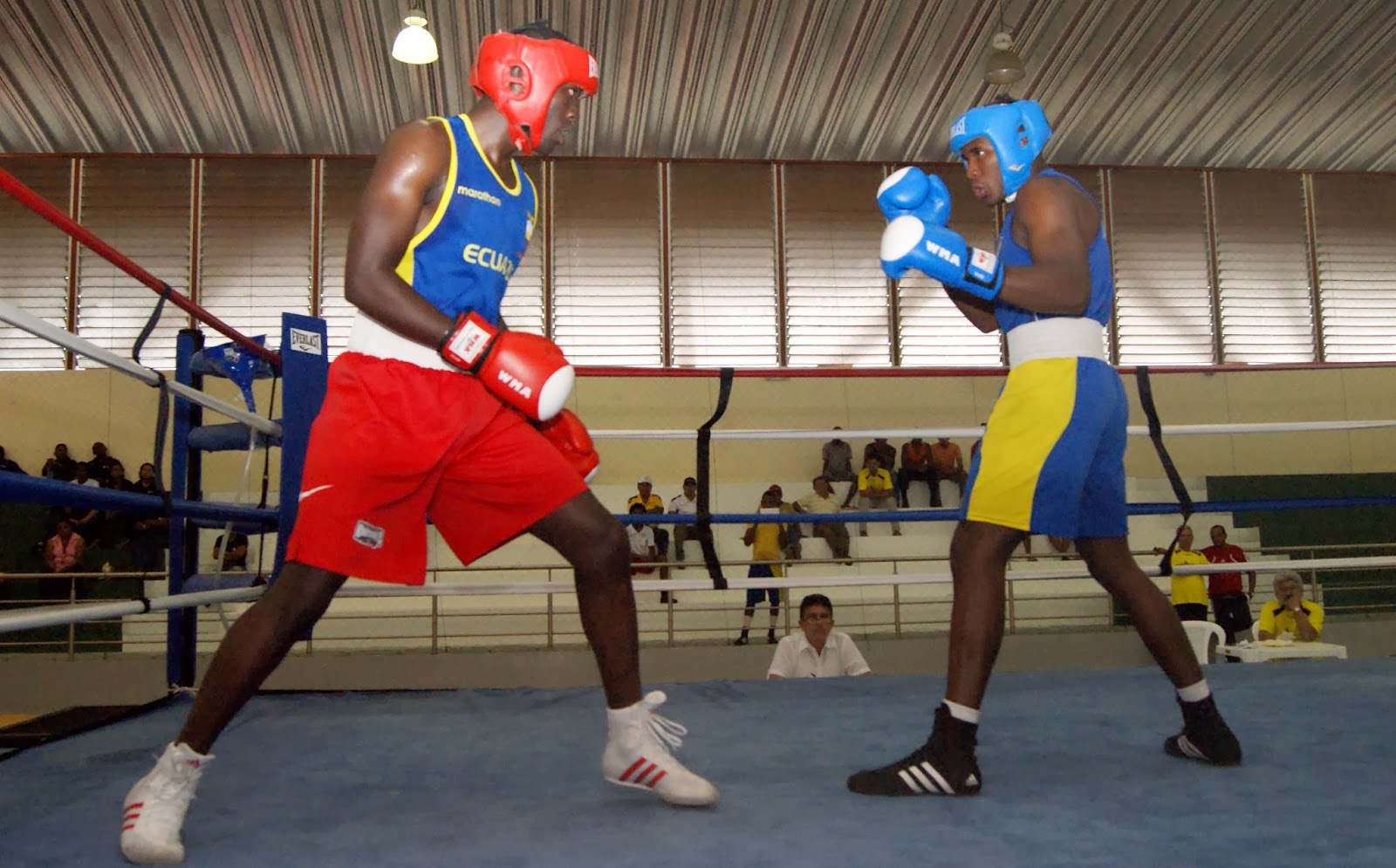 NOTICIAS Y DEPORTES DEL MUNDO: ECUADOR DEFINIÓ SELECCIÓN DE BOXEO PARA ...