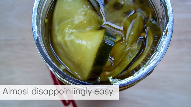 34 New Things: Make Pickles