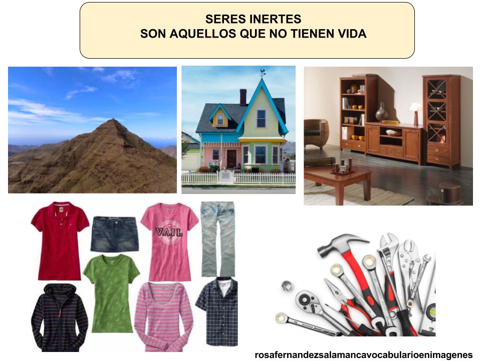 Vocabulario en imágenes. Maestra de Infantil y Primaria.: SERES VIVOS Y ...