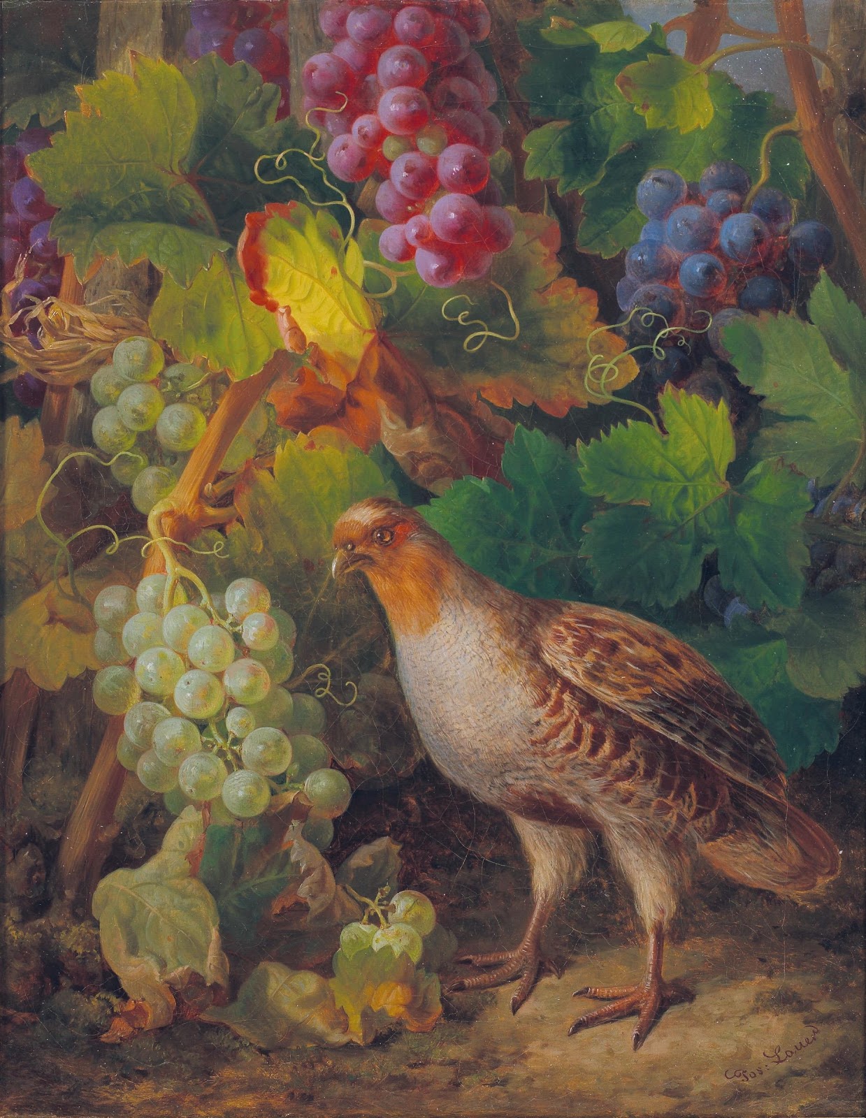 Josef Lauer | Still Life painter | Tutt'Art@ | Pittura * Scultura ...